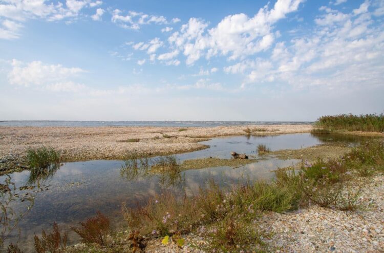 More dredging, more freight: How the war in Ukraine threatens the ...