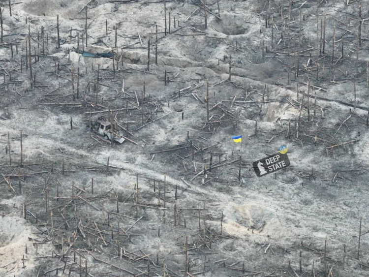 Flames of war: How Ukraine lost over 1,000 square kilometers of forest ...